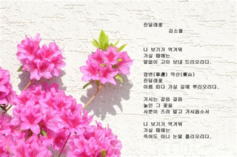 진달래꽃 김소월 시 네이버 블로그