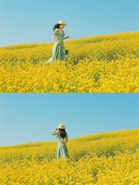 不用去婺源！在北京看初夏最美油菜花梯田 花瓣网