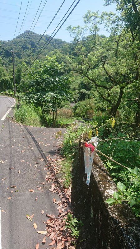 四分子古道月扇湖山大岩壁 步道狀況回報 2019 07 27 00 00 健行筆記