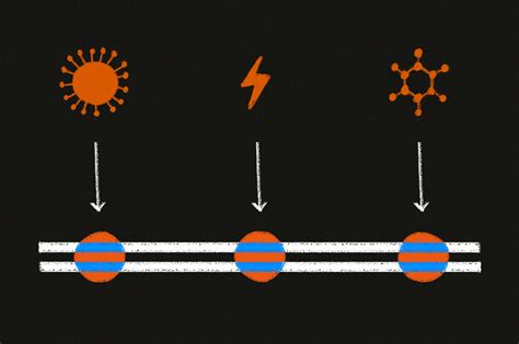 Delivery Methods To Maximize Genome Editing With Crispr Cas9