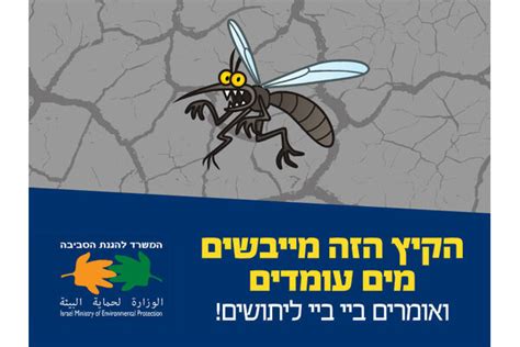 במבצע ניטור לכד המשרד להגנת הסביבה יתושות נגועות בנגיף קדחת מערב הנילוס בצפון תל אביב ובראשון