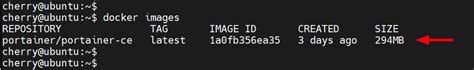 How To Install Portainer On Ubuntu Cherry Servers