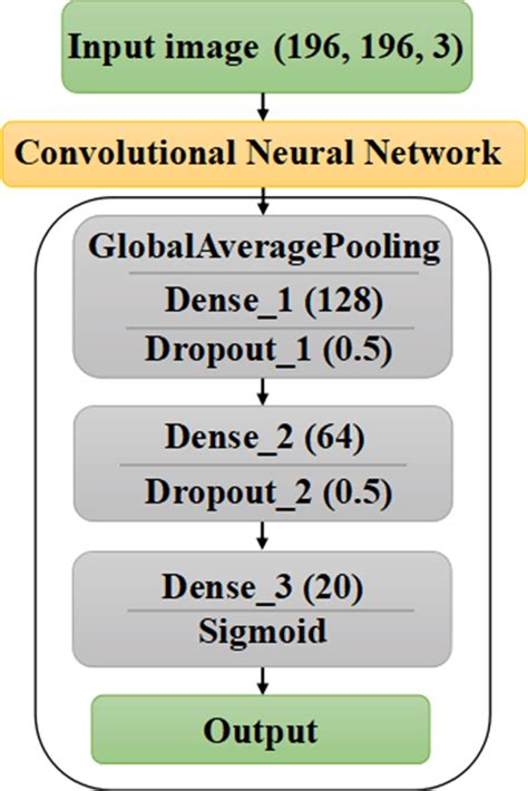 The Construction Of Fine Tuning Cnns Download Scientific Diagram