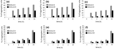 Co Aggregation Of L Paracasei Subsp Paracasei Bgsj2 8 And Its