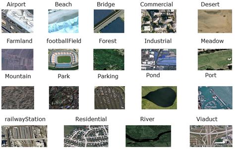 Weighted Spatial Pyramid Matching Collaborative Representation For