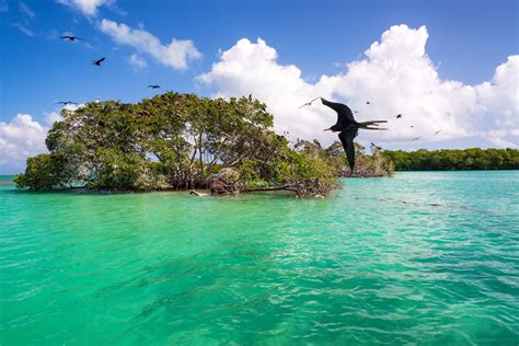 Conoce la función de las reservas ecológicas Rincones de México