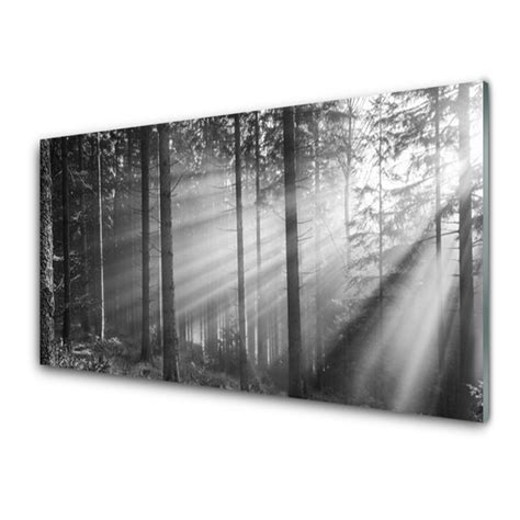 Glass Wall Art Forest Nature Grey Uk