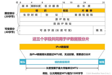 第四章 网络层 ipv4数据报的首部格式 ipv4首部填充字段 csdn博客
