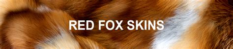 European Red Fox Skins And Canadian Red Fox Skins Easyfur