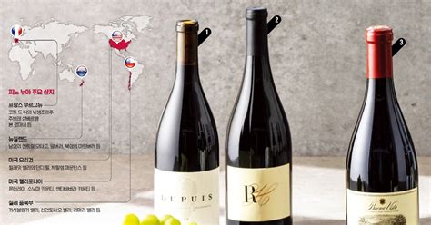 세계서 가장 비싼 와인 50개 중 절반 알고 보니
