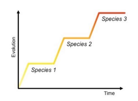 Test Set Flashcards Quizlet