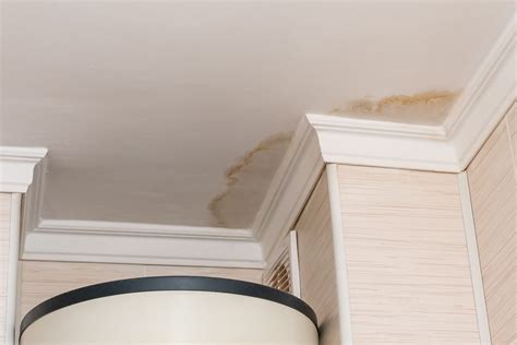 Anatomy Of A Roof Leak Andrews Roofing