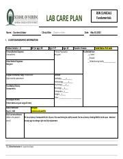 Lab Case Study Care Plan Hygiene Pdf BSN CLINICALS Fundamentals LAB