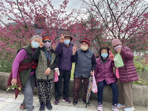 北榮桃園分院「長樂居」賞櫻活動 虎頭山公園美景盡收眼底
