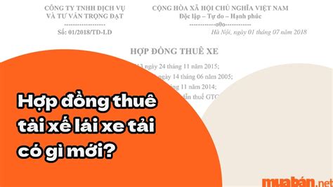 Mẫu Hợp Đồng Thuê Xe Có Tài Xế Điều Khoản Quan Trọng Cần Biết Trung