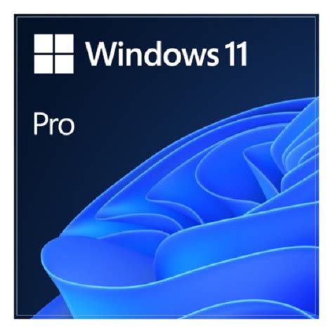 Windows 11 Pro 다나와 통합검색