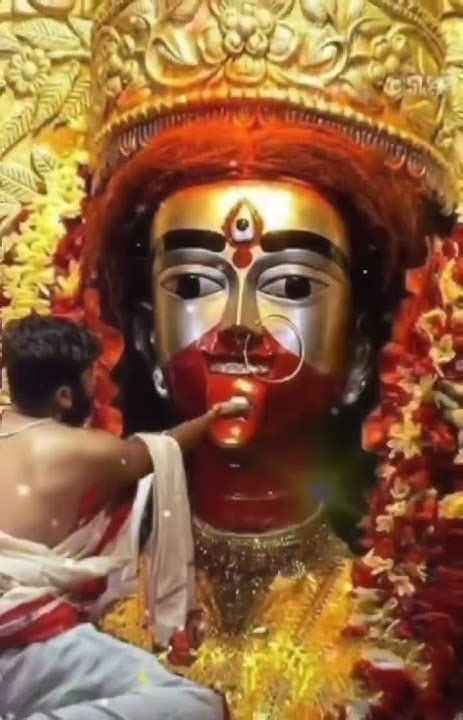 🙏🌺🥰🌺মাগো 🌺 সকলের 🌺 মঙ্গল 🌺 করো 🌺 জয় 🌺 মা🌺🥰🌺🙏 Youtube