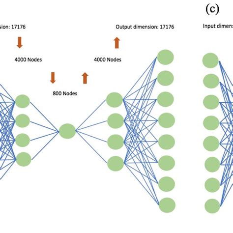 Schematics Showing A A Three Layer Autoencoder With Bottleneck Size Download Scientific