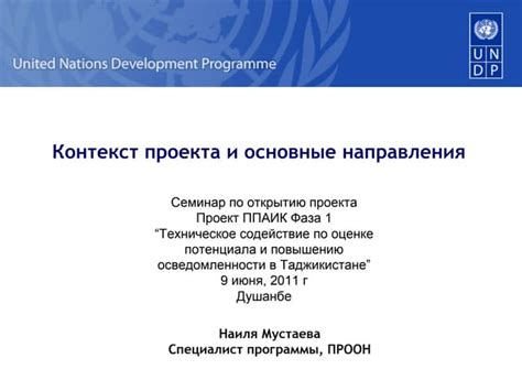 Presentation 1 Project Overview Ppt