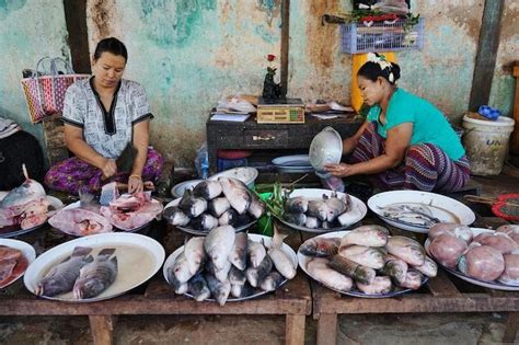 Navigating The Pros And Cons Of Fish Farming