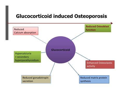 Osteoporosis