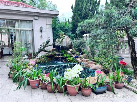 有了过滤池为什么还要安装过滤器锦鲤鱼池过滤系统升级改造工程 知乎