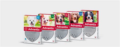 Advantix 600 (40-60 kg ) cutie cu 1 pipetă antipurici