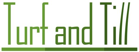 Best Grass Seed For Nj Types And Brands You Should Consider Turfandtill