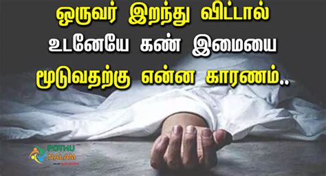 மடையன் என்பது திட்டும் வார்த்தை அல்ல அதன் உண்மையான அர்த்தத்தை
