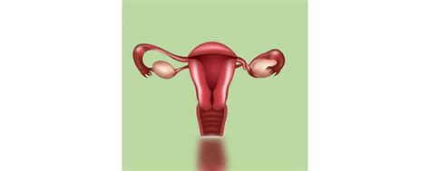 Fallopian Tube Blockage Treatment Without Surgery In Hindi सर्जरी के