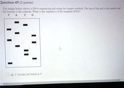 Solved Question 49 2 Points The Image Below Shows Dna Sequencing Gel Using Tle Sanger Method
