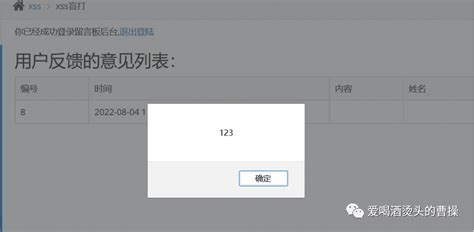 Xss简介pikachu靶场xss部分（详解） 墨天轮