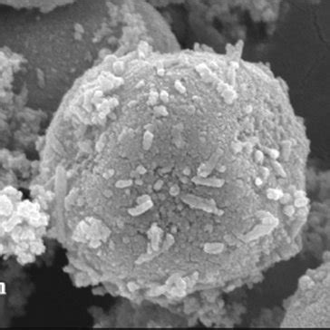 A SEM Images Of Cu O B SEM Images Of Cu O S C SEM Images Of Download Scientific
