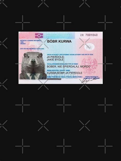 Bóbr Kuanda Ja Piere Nie Uciekaj Bober Bóbr Beaver Boberek