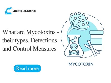 What Are Mycotoxins Types Detections Control Measures