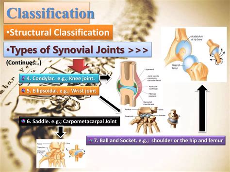 Human Joint Classification By Durba Chatterjee Ppt
