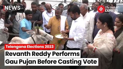 Telangana Cong Chief Revanth Reddy Performs Gau Pujan Before Casting