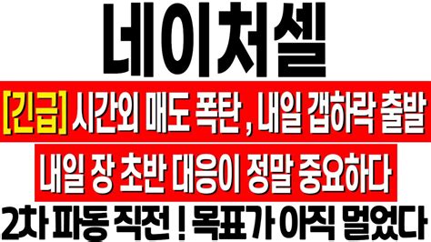 네이처셀 주가 전망 시간외 하락 내일 장 초반 대응이 중요하다 필수 시청 네이처셀 주식 분석 네이처셀 조인트스템 줄기
