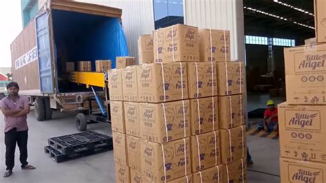 15 Kg Carton Boxes Loading Into Container Mmc Truck Loader 16pdc