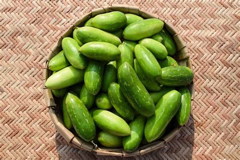 All Indian Vegetables Names