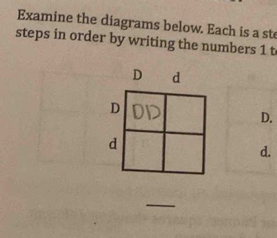 Solved Examine The Diagrams Below Each Is A Ste Steps In Order By