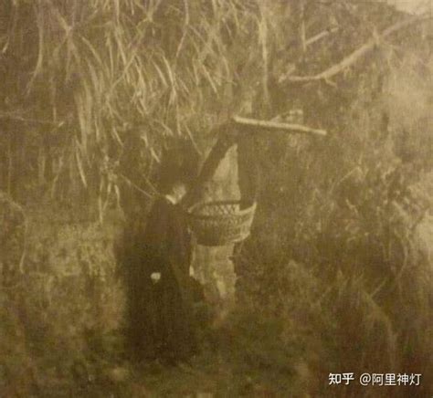 晚清时期的婴儿塔有多残忍？毫无人性，令人发指！ 知乎