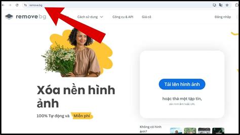 Hướng Dẫn Sử Dụng Remove Bg Xóa Phông ảnh Online Tiện Lợi Vietnamvn