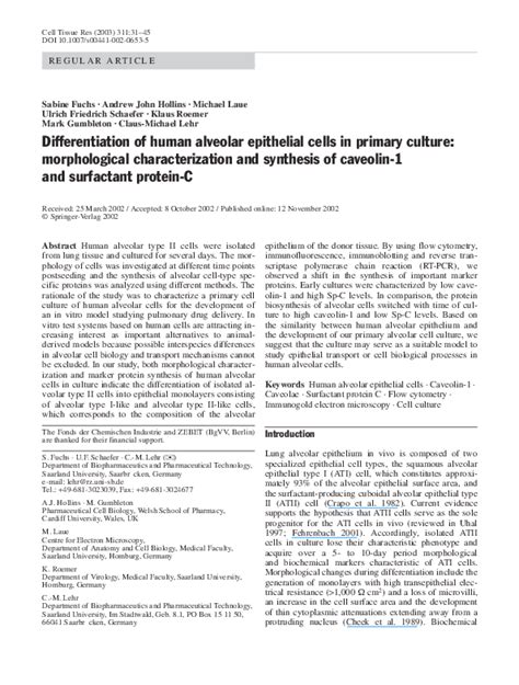 Pdf Differentiation Of Human Alveolar Epithelial Cells In Primary