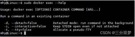 Docker容器进入的4种方式 docker exec CSDN博客