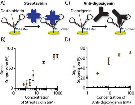 Figure 3 From A Nucleic Acid Nanostructure Built Through On Electrode