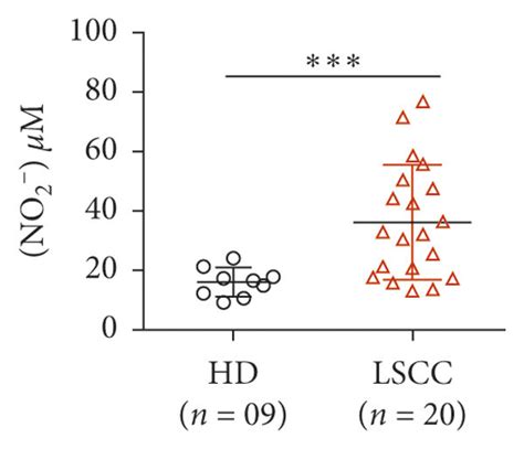 Epithelial Mesenchymal Transition Is Prominent In Invasive LSCC Tissues