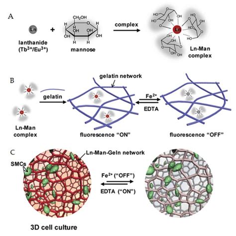 Youngs Modulus Of Natural Soft Tissues And Organs In Kpa Download High Quality Scientific