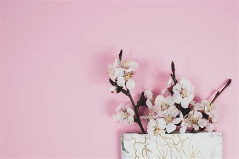 분홍색 배경이 아닌 종이 봉투에 벚꽃이 만발합니다 복사 공간 상단 보기 벚꽃에 대한 스톡 사진 및 기타 이미지 벚꽃 0명