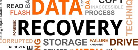Data Recovery Tools Request From Brazil Dolphin Data Lab